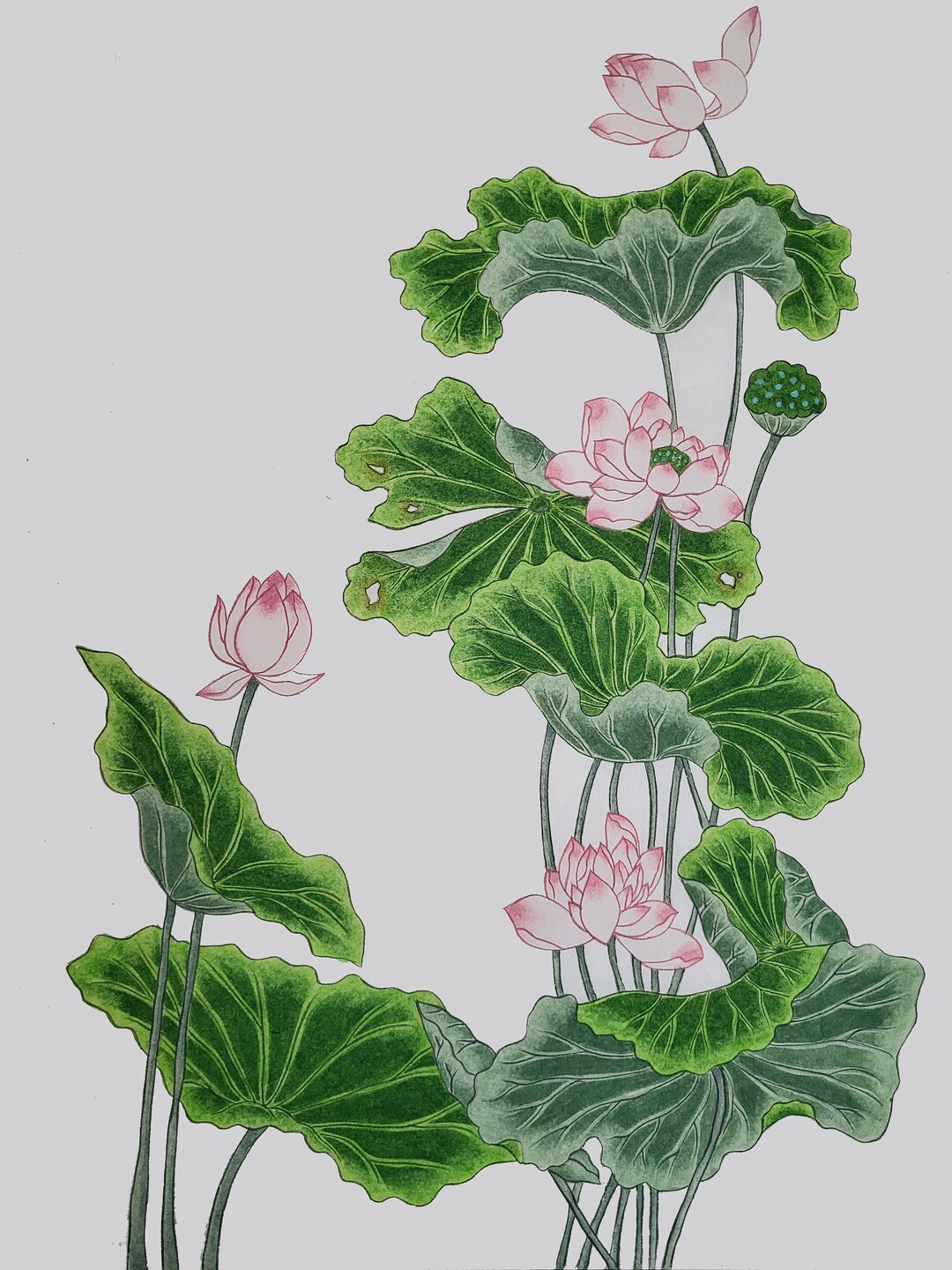 Lotus. Korean Traditional Painting Minhwa. - Etsy
