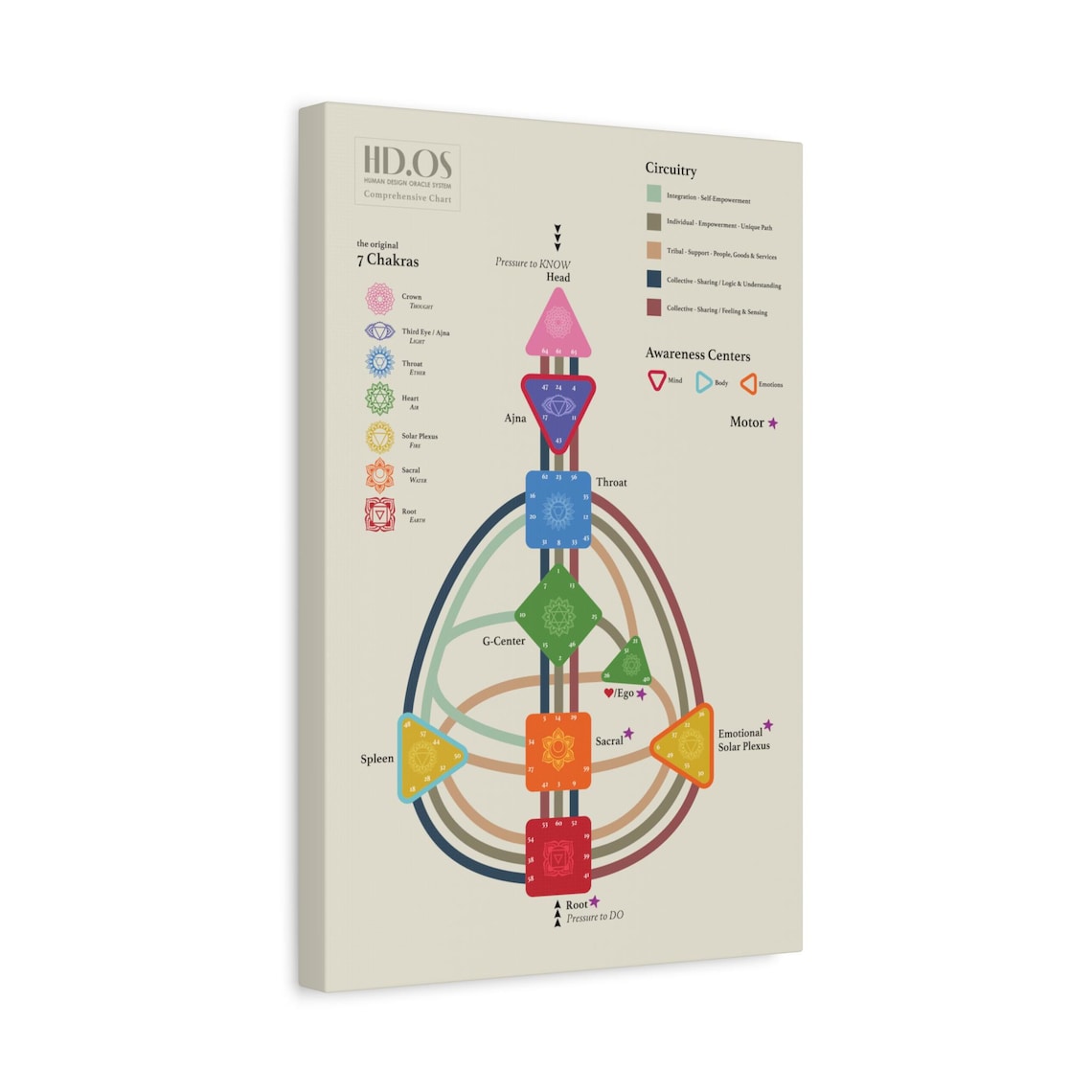 Human Design Chart Canvas Wall Art - Human Design Bodygraph Master Key ...