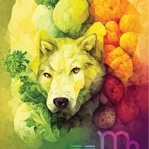 The Human Design Oracle System Card Deck: HD.OS Intuitive - Etsy Canada