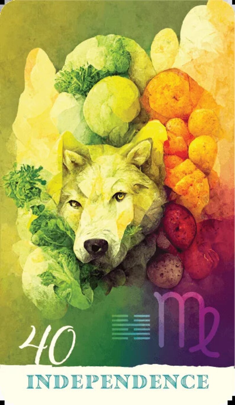 The Human Design Oracle System Card Deck: HD.OS Intuitive - Etsy Canada