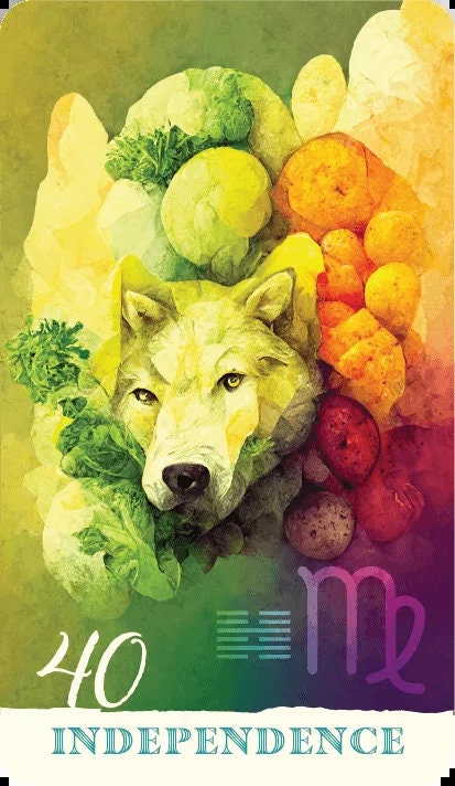 The Human Design Oracle System Card Deck: HD.OS Intuitive - Etsy Canada