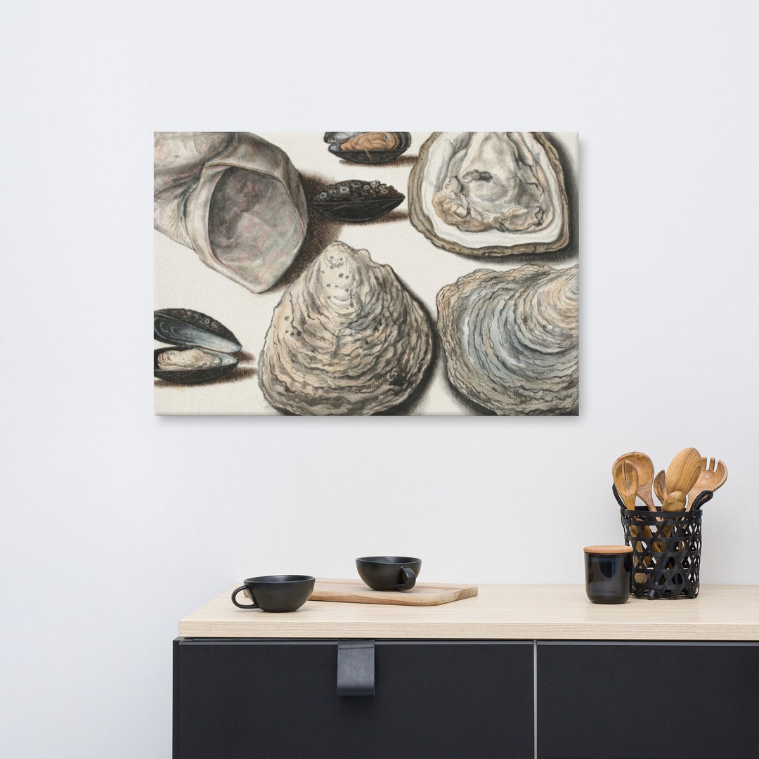 Oysters, Mussels and Moon Horn by Anonymous (1560–1585). Canvas - Etsy