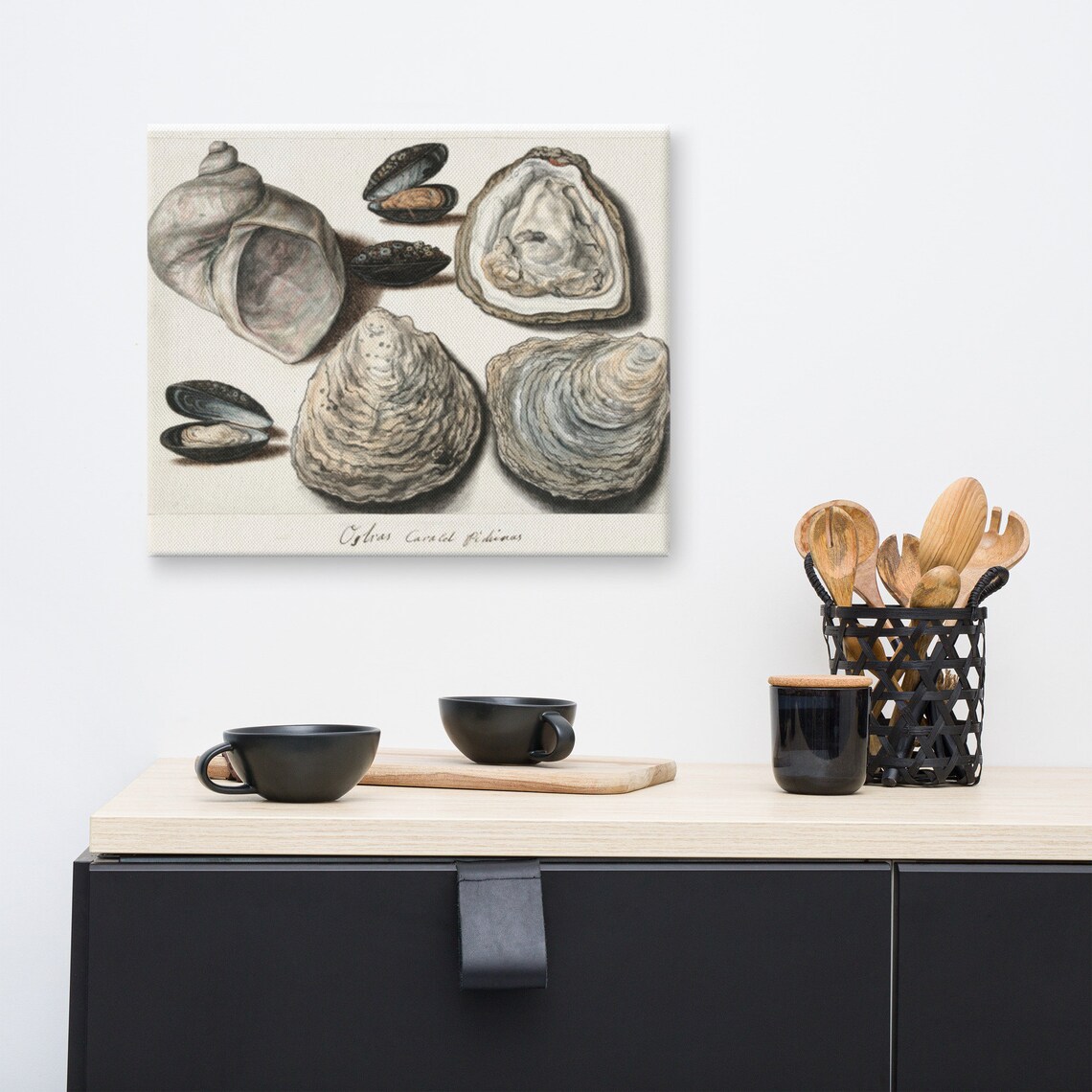Oysters, Mussels and Moon Horn by Anonymous (1560–1585). Canvas - Etsy