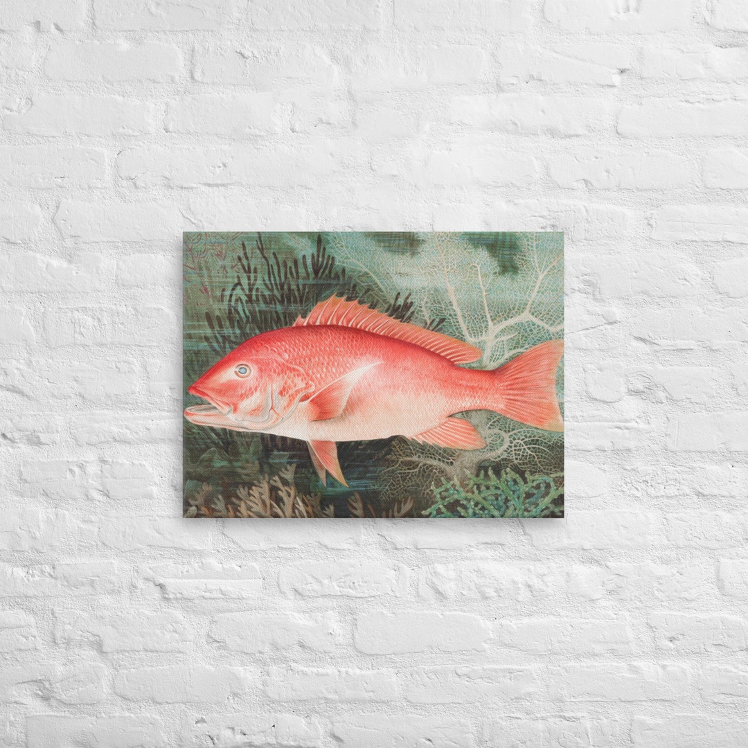 Red Snapper by Samuel Kilbourne Canvas - Etsy