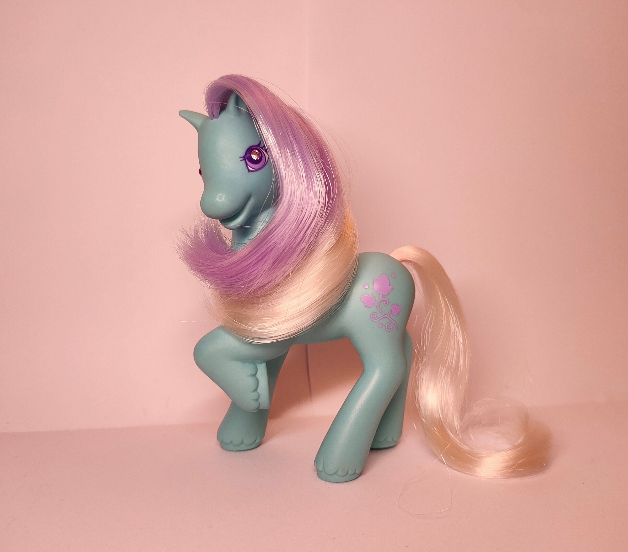 Pony Blue Ivy Birthday Present