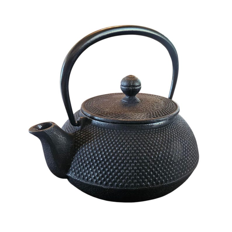 Black Hobnail Cast Iron Teapot Tetsubin Kuro 21 Oz Made in Japan - Etsy