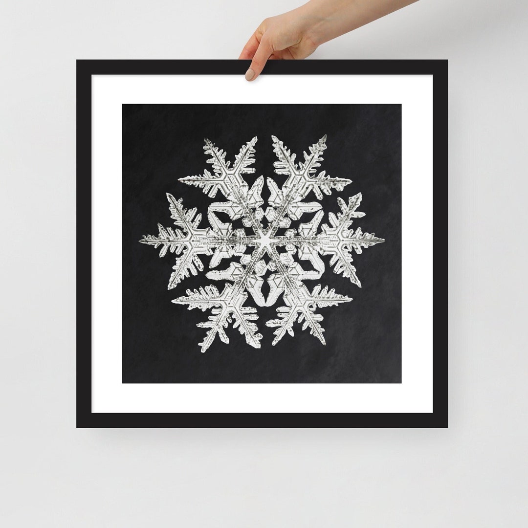 Wilson Bentley's Snowflake 920 Framed Print - Etsy