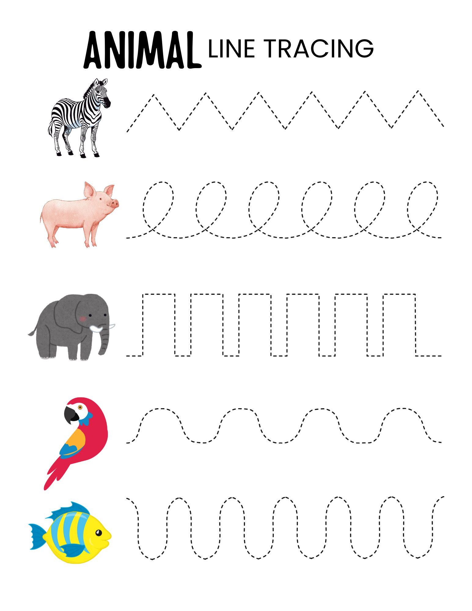 Animal Line Tracing Digital Download | Printable Activity Sheet, Kids ...
