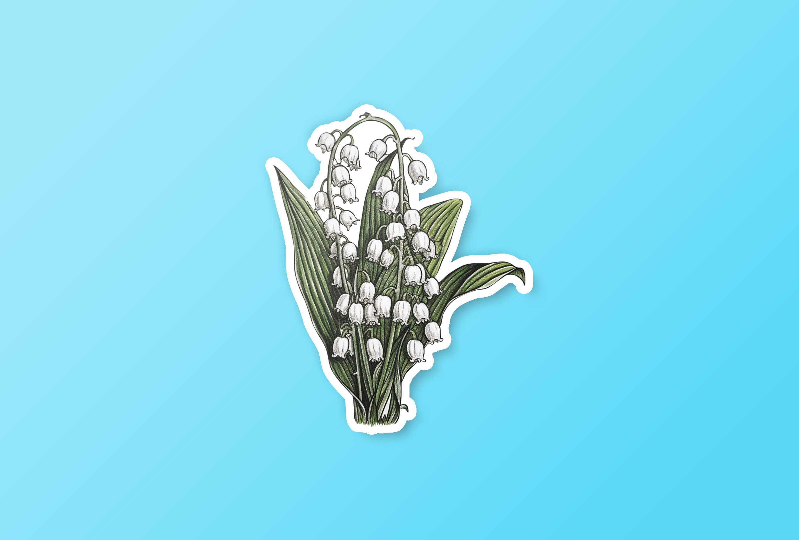 Lily of the Valley Cottagecore Sticker - Etsy