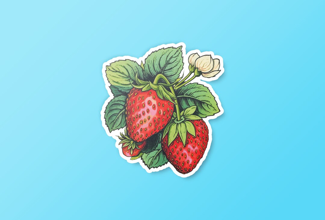 Cottagecore Strawberry Sticker - Etsy