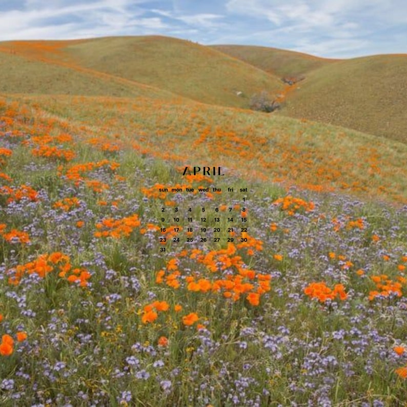 2023 Monthly Calendar Desktop or Laptop Wallpaper January Through April ...