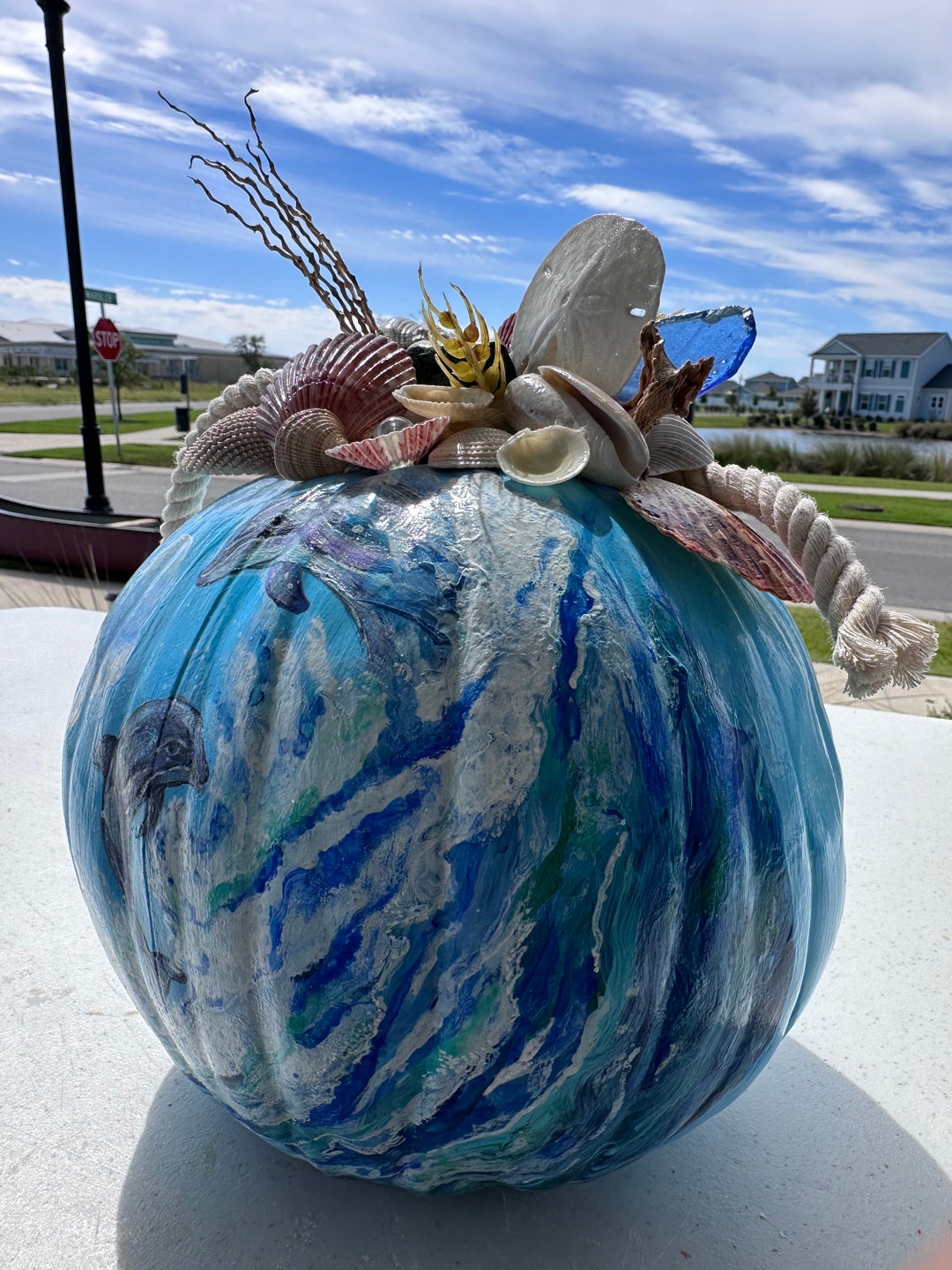 Dolphin Bliss Coastal Pumpkin - Etsy