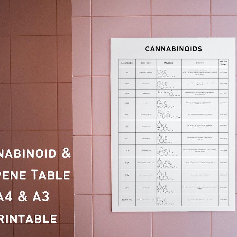 Cannabis Decor - Etsy