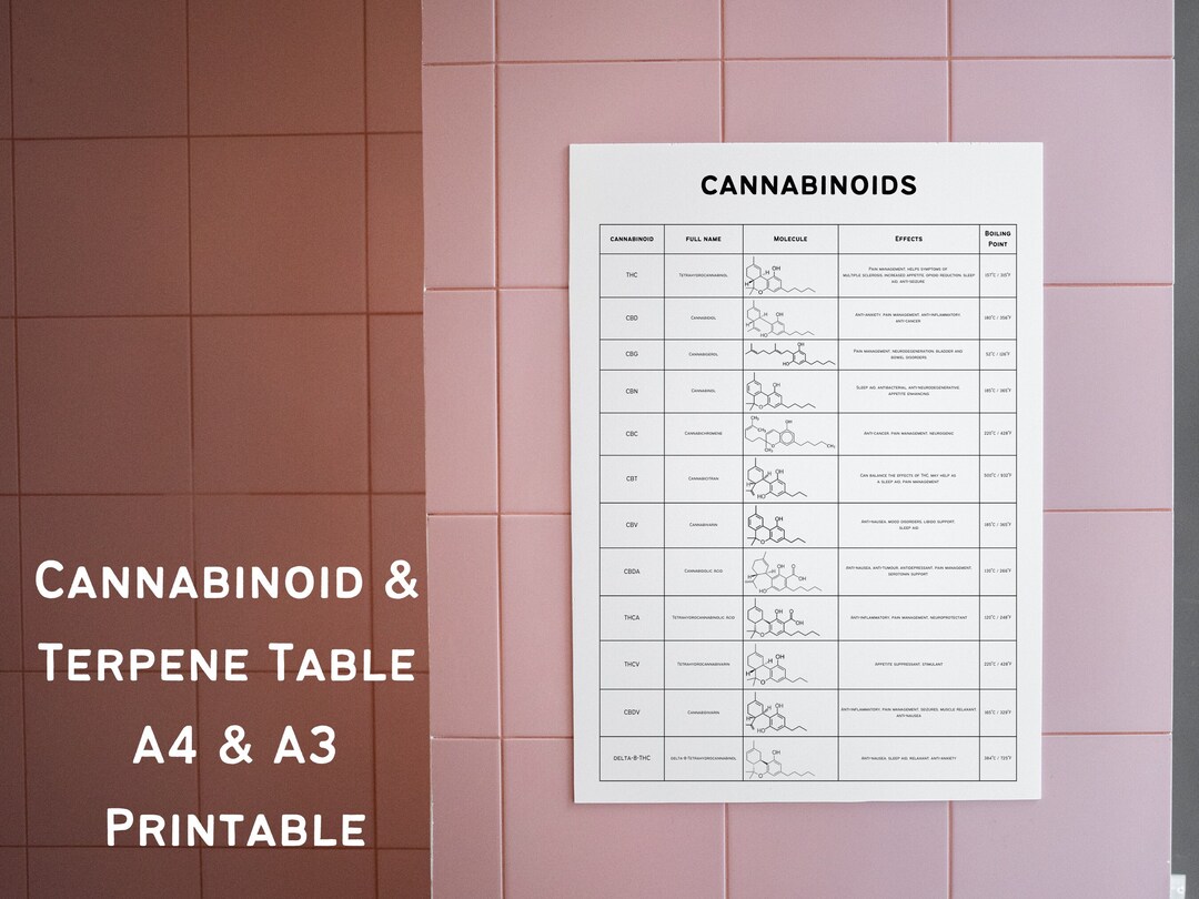 3 Page Cannabis Terpene and Cannabinoid Table | Digital Download ...