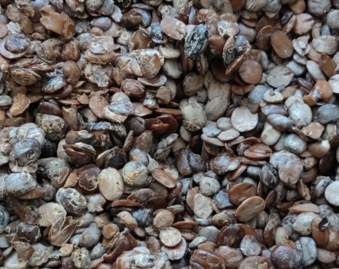 Fresh, Wet, Organic Iru Woro fermented West African Locust Beans 16 Oz ...