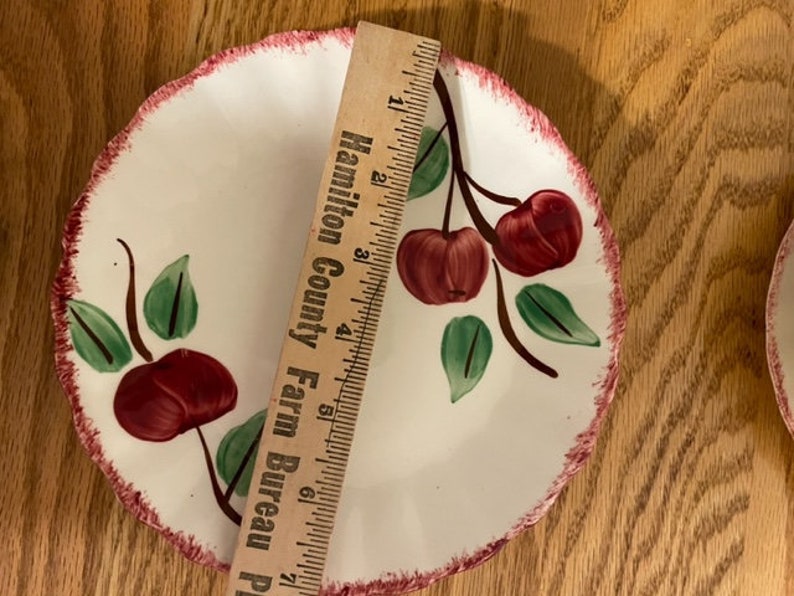 Used Vintage Blue Ridge Southern Pottery Crab Apple - Etsy