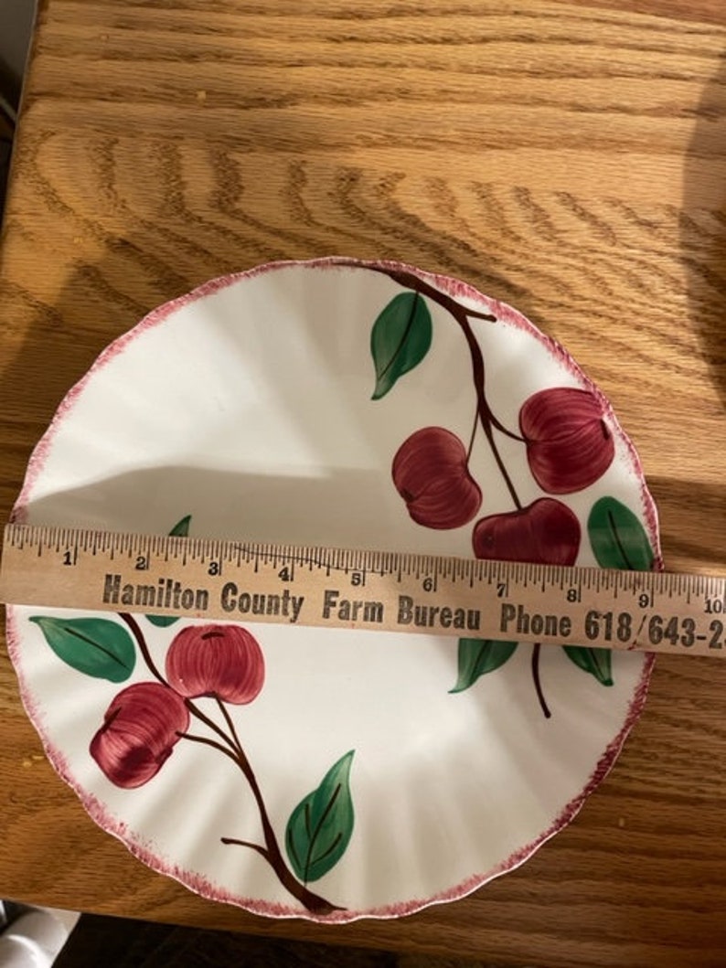 Used Vintage Blue Ridge Southern Pottery Crab Apple - Etsy