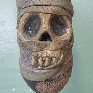 A Skull Mummified Face on a Coors Bottle - Etsy
