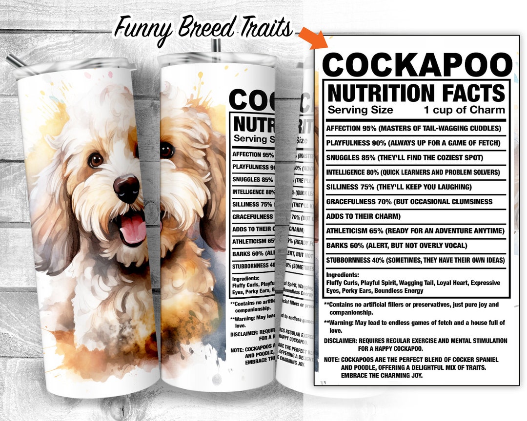 Cockapoo 20oz Skinny Tumbler Design, Cockapoo Hybrid Dog Facts, Poodle ...