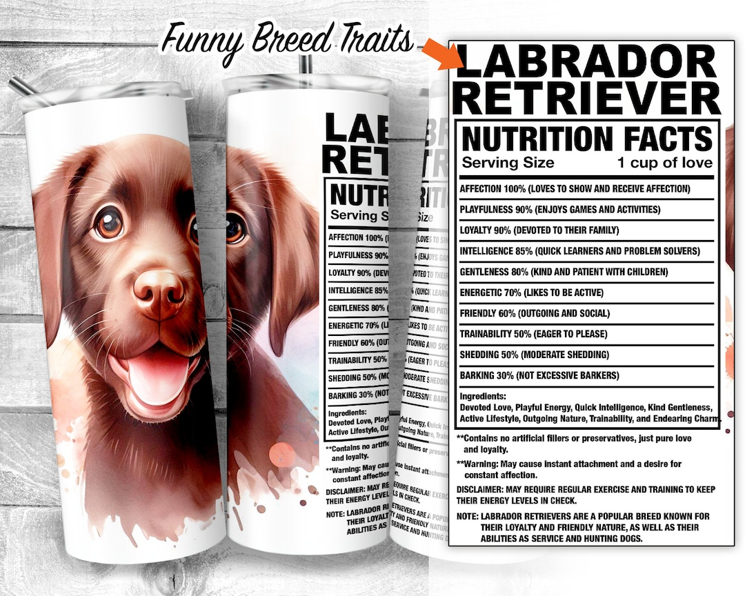 Cute Chocolate Lab 20oz Skinny Tumbler Design, Mocha Lab Facts, Brown ...