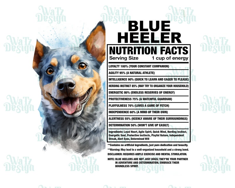 Blue Heeler Ingredients Png, Australian Cattle Dog Facts Png, Heeler ...