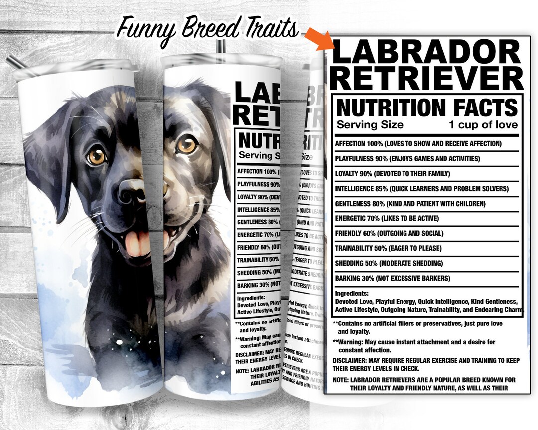Black Lab 20oz Skinny Tumbler Design, Lab Dog Facts, Labrador Dog ...