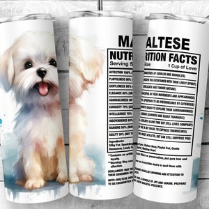 Maltese 20oz Skinny Tumbler Design, Maltese Terrier Dog Facts, Bichon ...