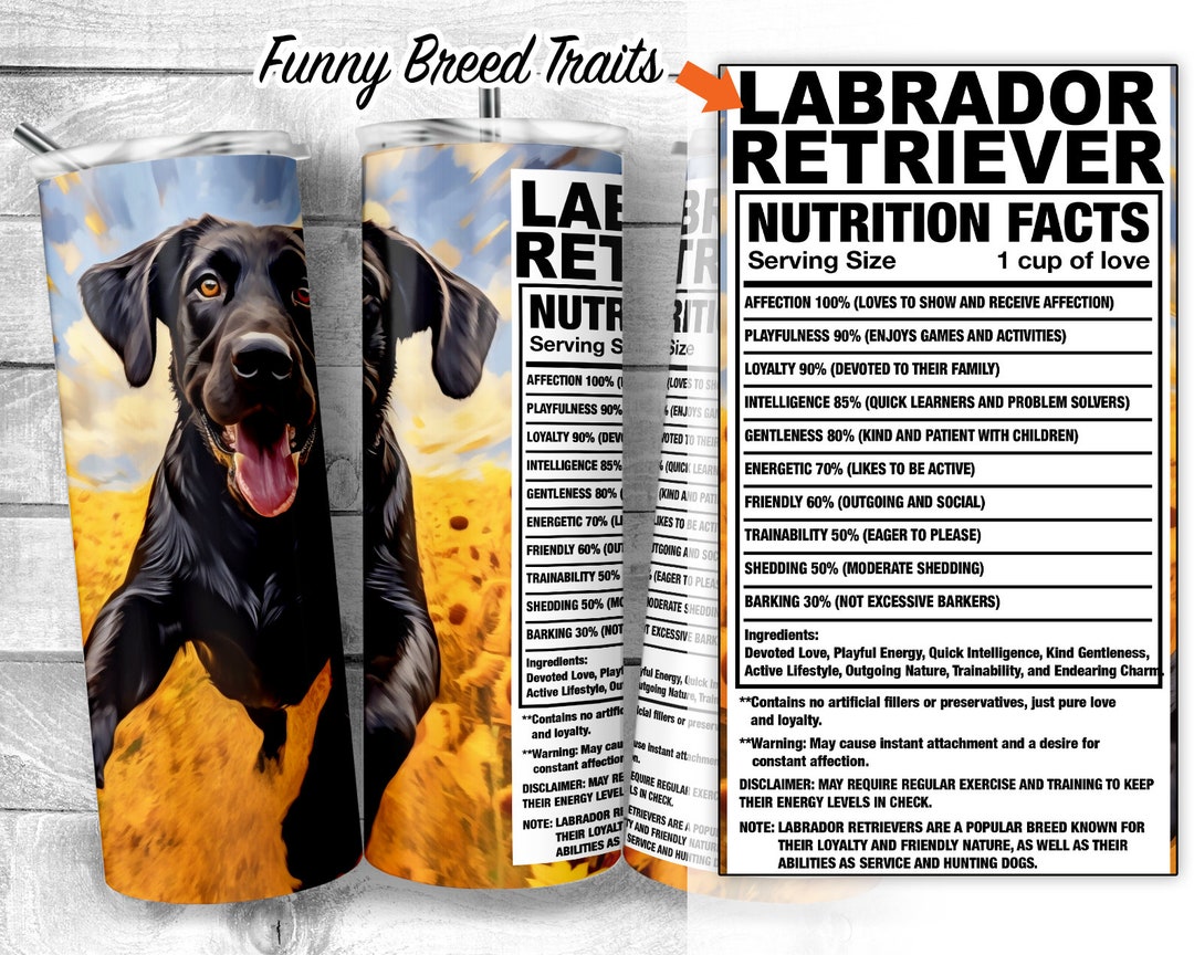 Black Lab 20oz Skinny Tumbler Design, Lab Dog Facts, Labrador Dog ...