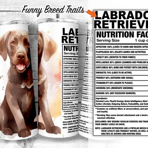 Chocolate Lab 20oz Skinny Tumbler Design, Mocha Lab Facts, Brown ...