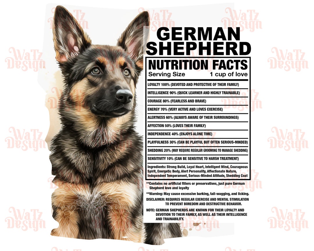 German Shepherd Ingredients Png, GSD Facts Png, Alsatian Traits, Dog ...