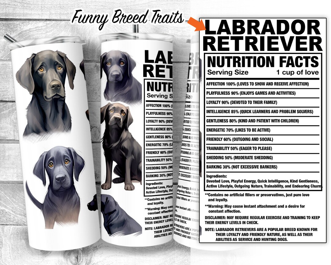 Black Lab 20oz Skinny Tumbler Design, Lab Dog Facts, Labrador Dog ...