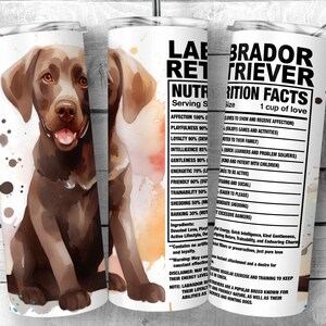 Chocolate Lab 20oz Skinny Tumbler Design, Mocha Lab Facts, Brown ...