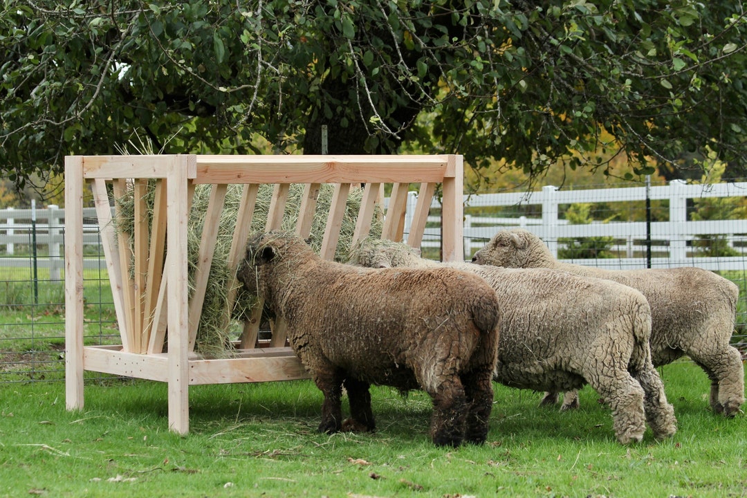 Goat & Sheep Hay Feeder Plan - Etsy