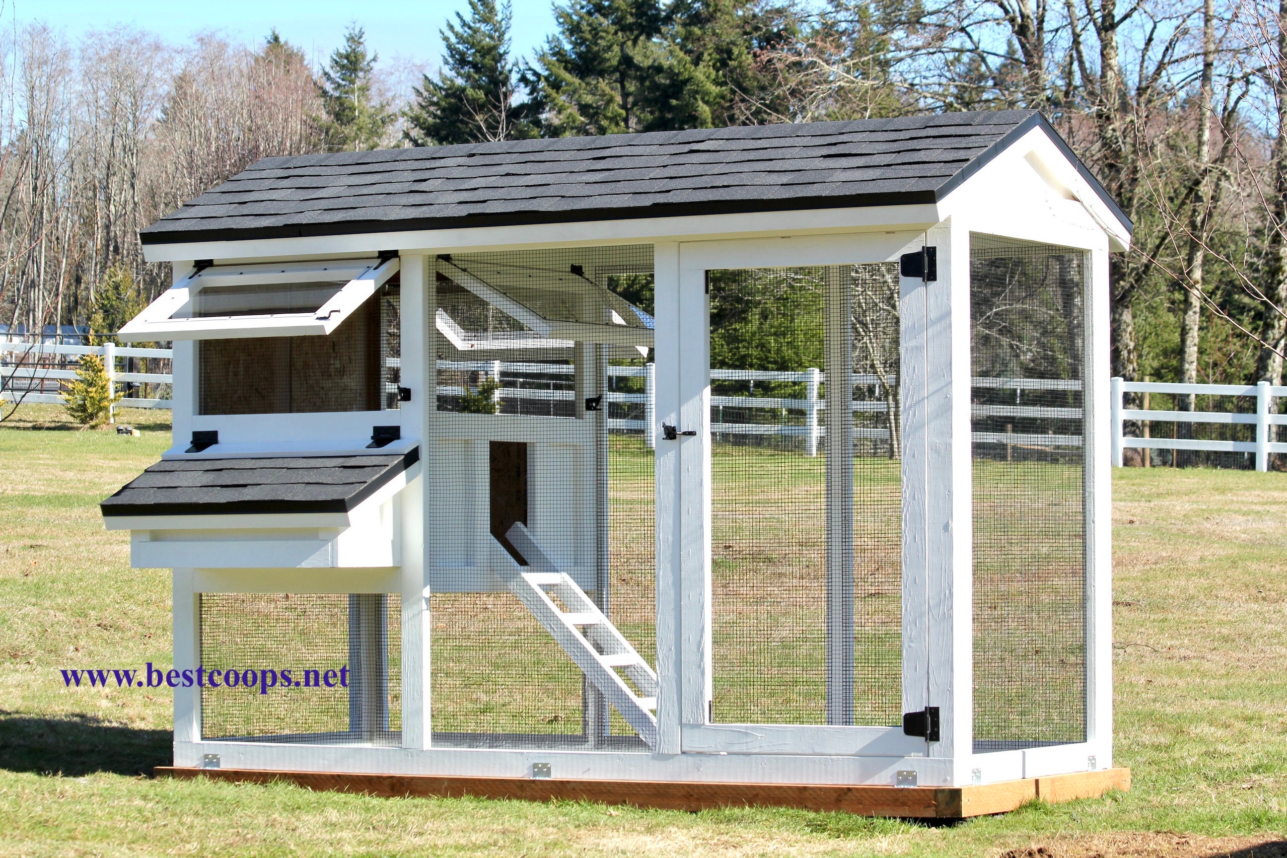 4x10' Chicken Coop Plan - Etsy