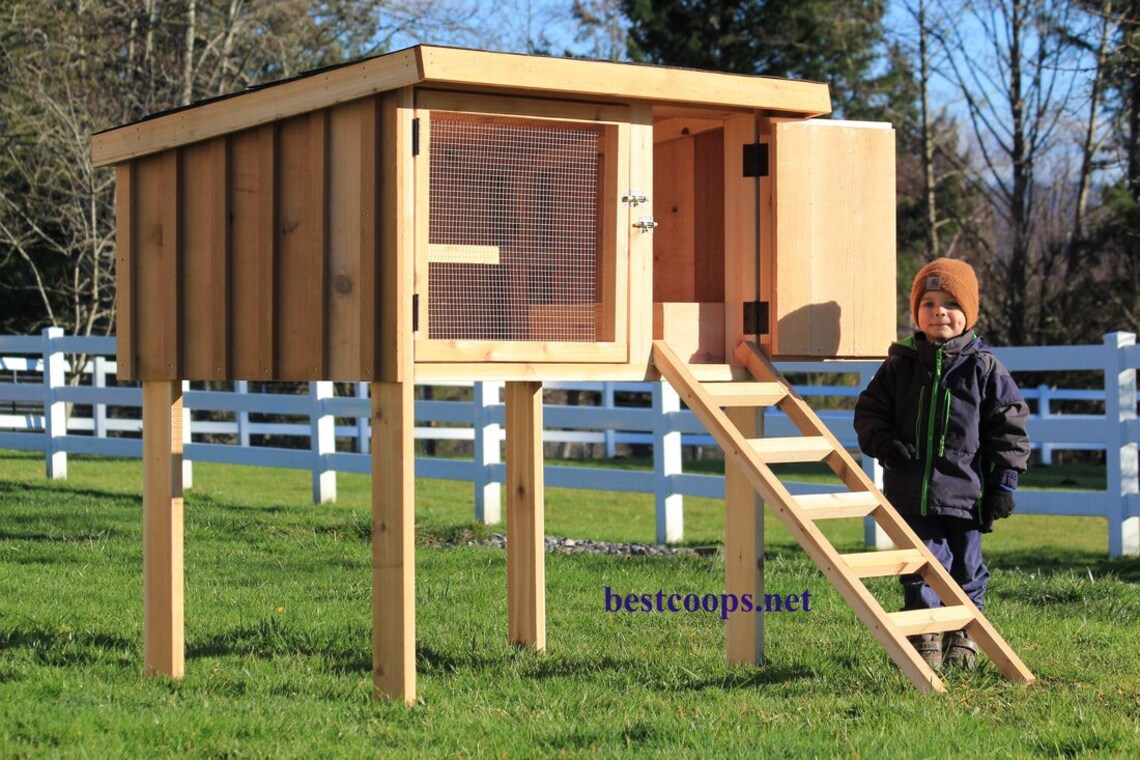 Cedar Rabbit Hutch/chicken Coop Plan - Etsy