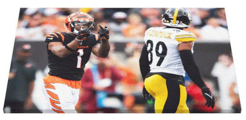Canvas Print of Ja'marr Chase Flipping off With Middle - Etsy