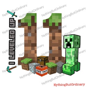 Minecraft Birthday Shirt - Level up 11 - Etsy