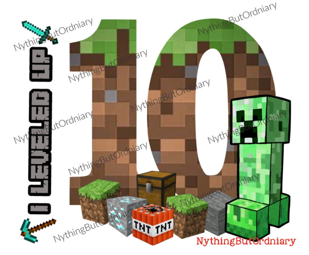 Minecraft Birthday Shirt - 10 Leveled Up - Etsy