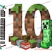 Minecraft Birthday Shirt - 10 Leveled Up - Etsy
