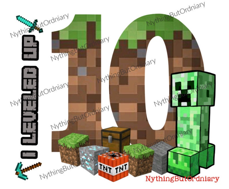Minecraft Birthday Shirt - 10 Leveled Up - Etsy