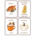 Happy Fall Y'all English/spanish Flashcards - Etsy