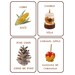 Happy Fall Y'all English/spanish Flashcards, Homeschooling, Learning ...