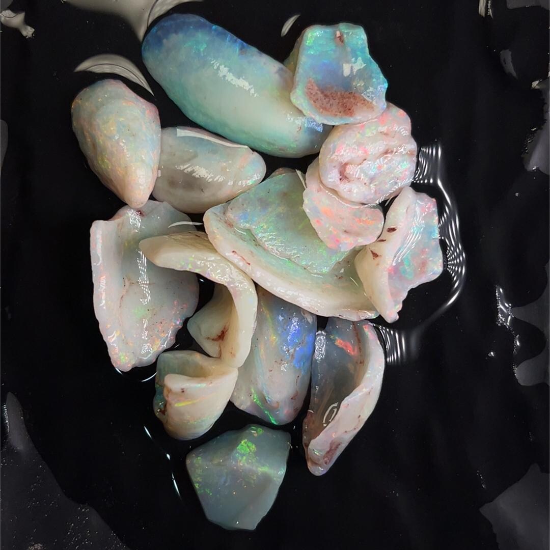 Opalised Skin Shell Fossils - Etsy