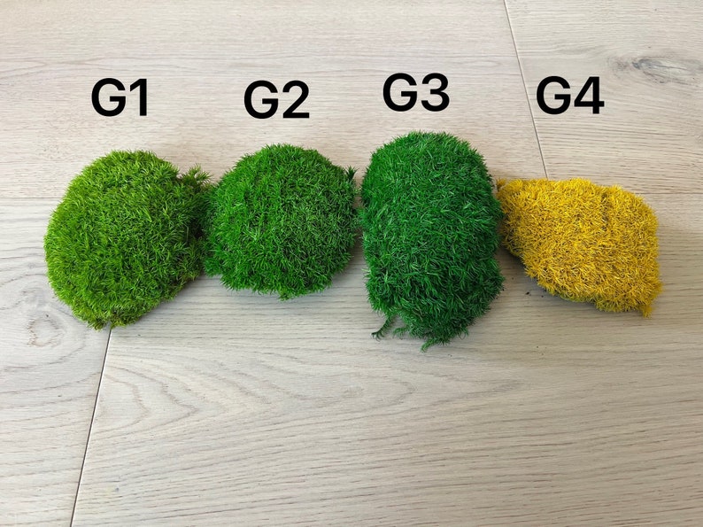 Bulk Preserved Moss Wall Art Supplies, Natural Cushion Moss,terrarium ...