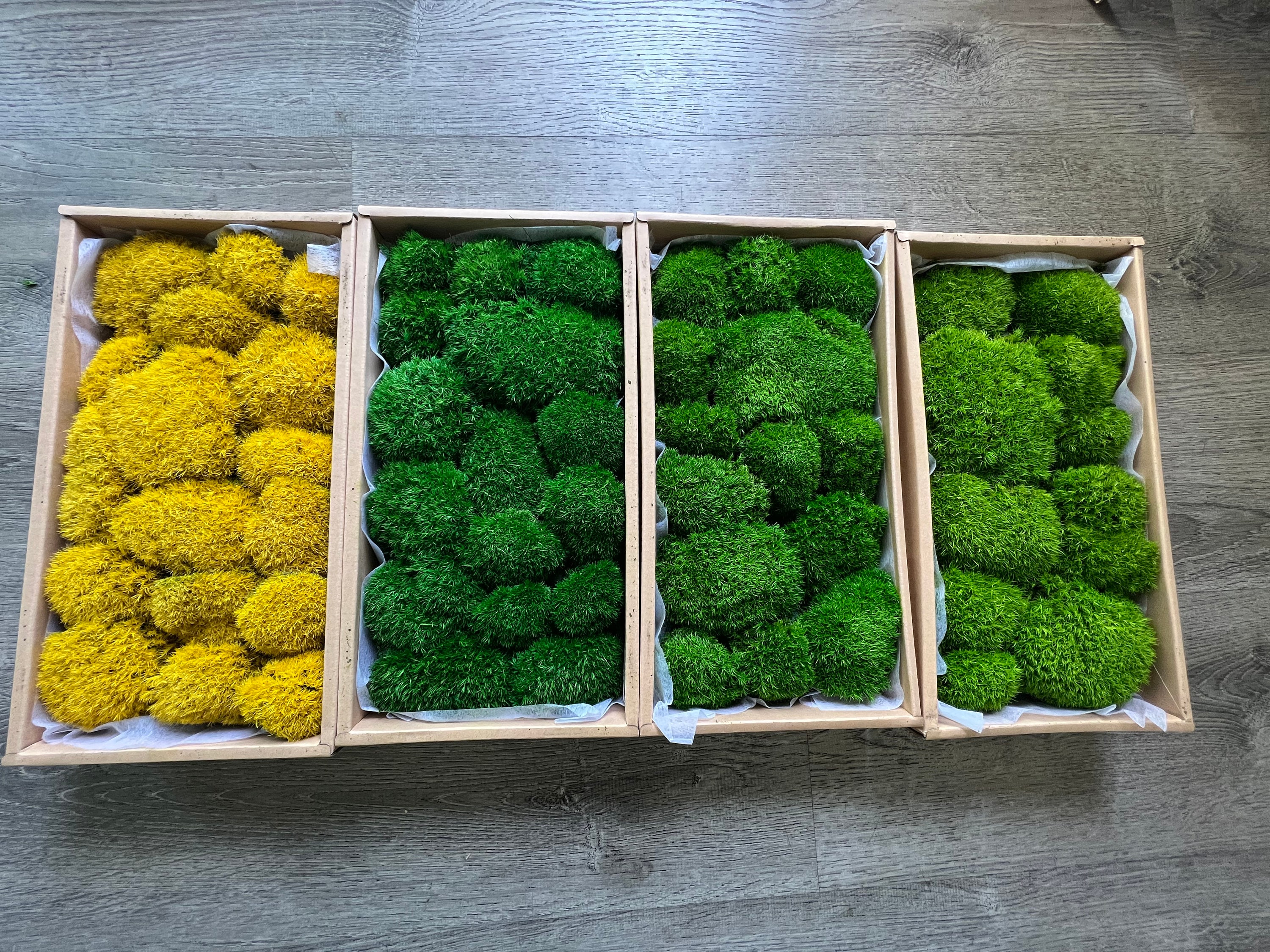 Bulk Preserved Moss Wall Art Supplies, Natural Cushion Moss,terrarium ...