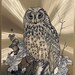 Dufex Print, Owl Picture, World Map, Vintage, Collector, Christmas Gift ...
