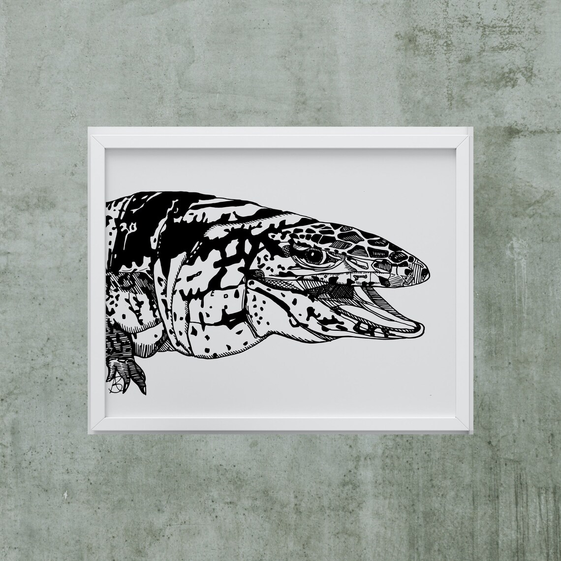 Black and White Argentine Tegu Lizard Animal Illustration Ink Drawing ...
