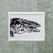 Black and White Argentine Tegu Lizard Animal Illustration Ink Drawing ...