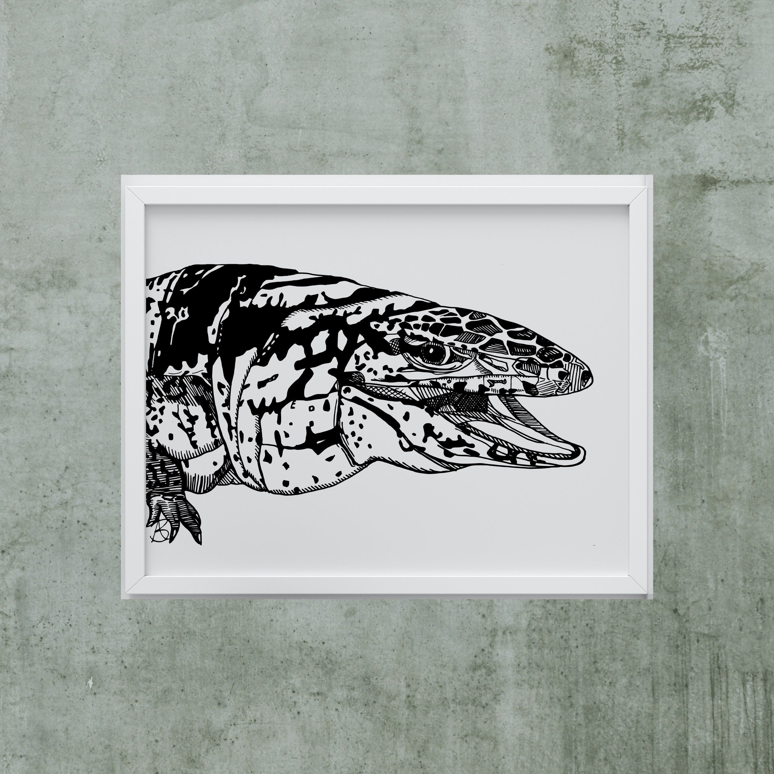 Black and White Argentine Tegu Lizard Animal Illustration Ink Drawing ...