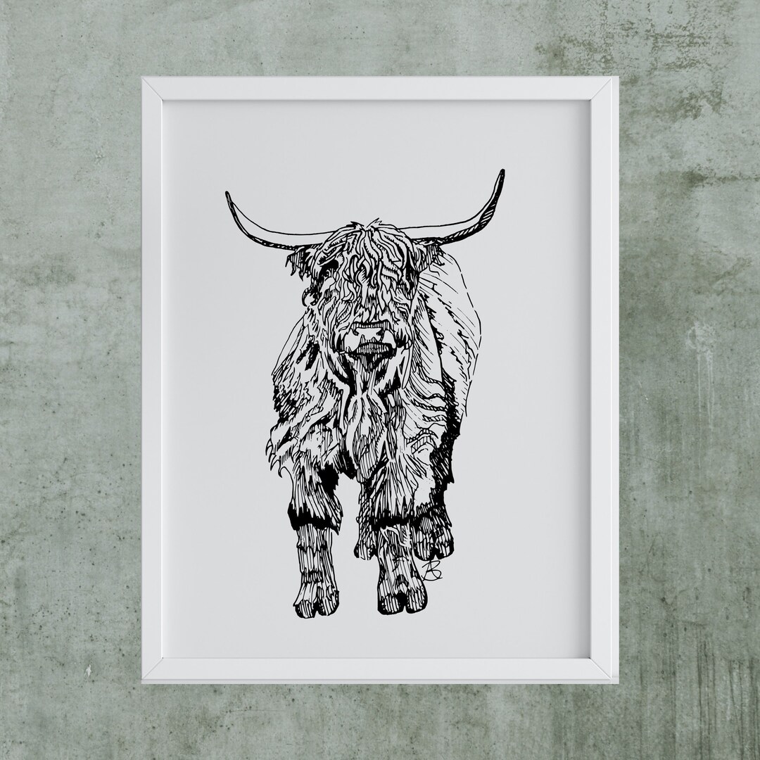 Highland Cow Ink Drawing Black and White Digital Download - Etsy